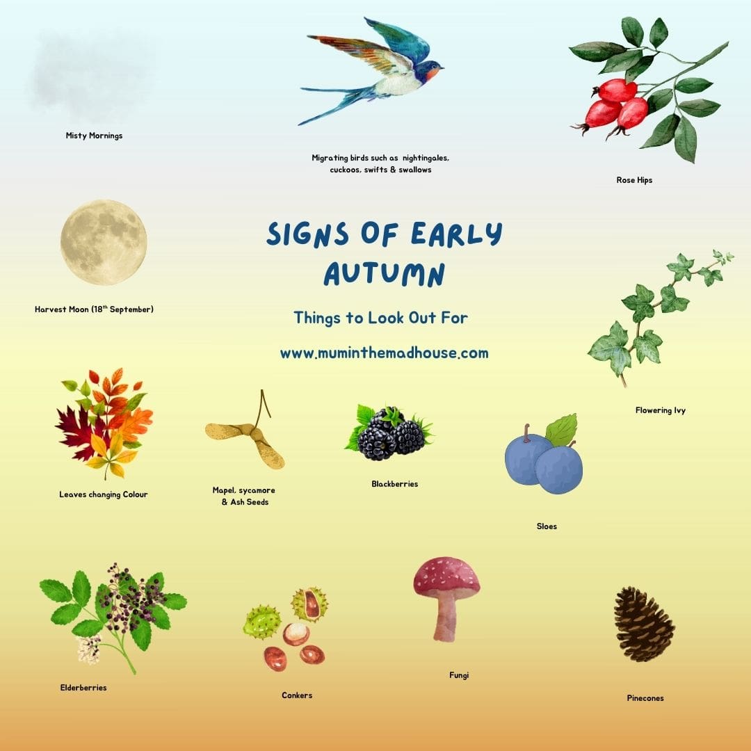 Early Autumn in the UK: Signs to Look Out For