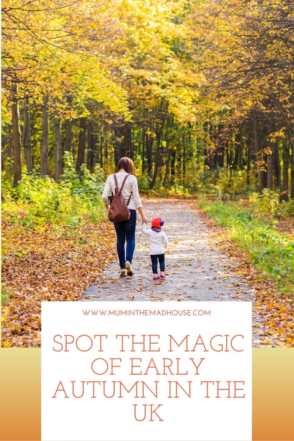 Early Autumn in the UK: Signs to Look Out For