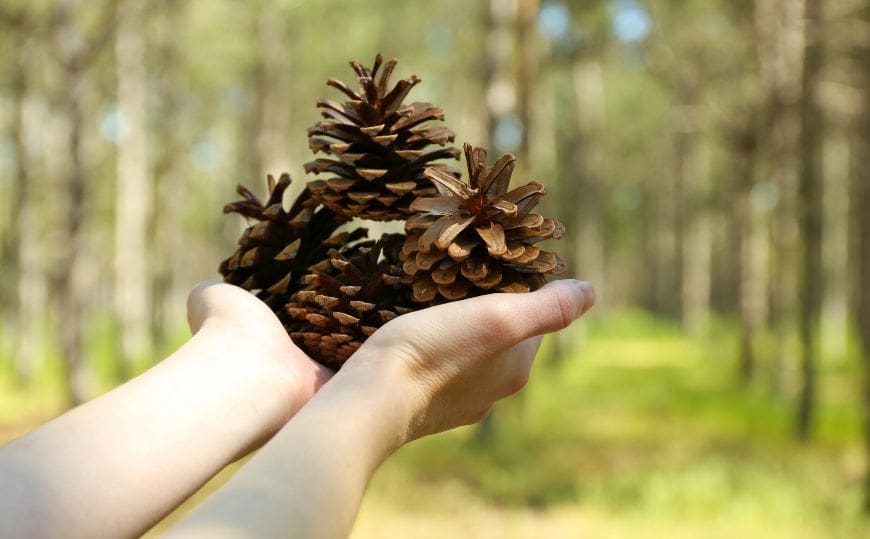 Ways to Celebrate Mabon – 10 Autumn Equinox Traditions for Families