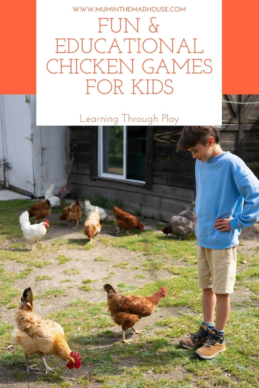 Best Educational Chicken Games for Kids – Fun Farm Learning